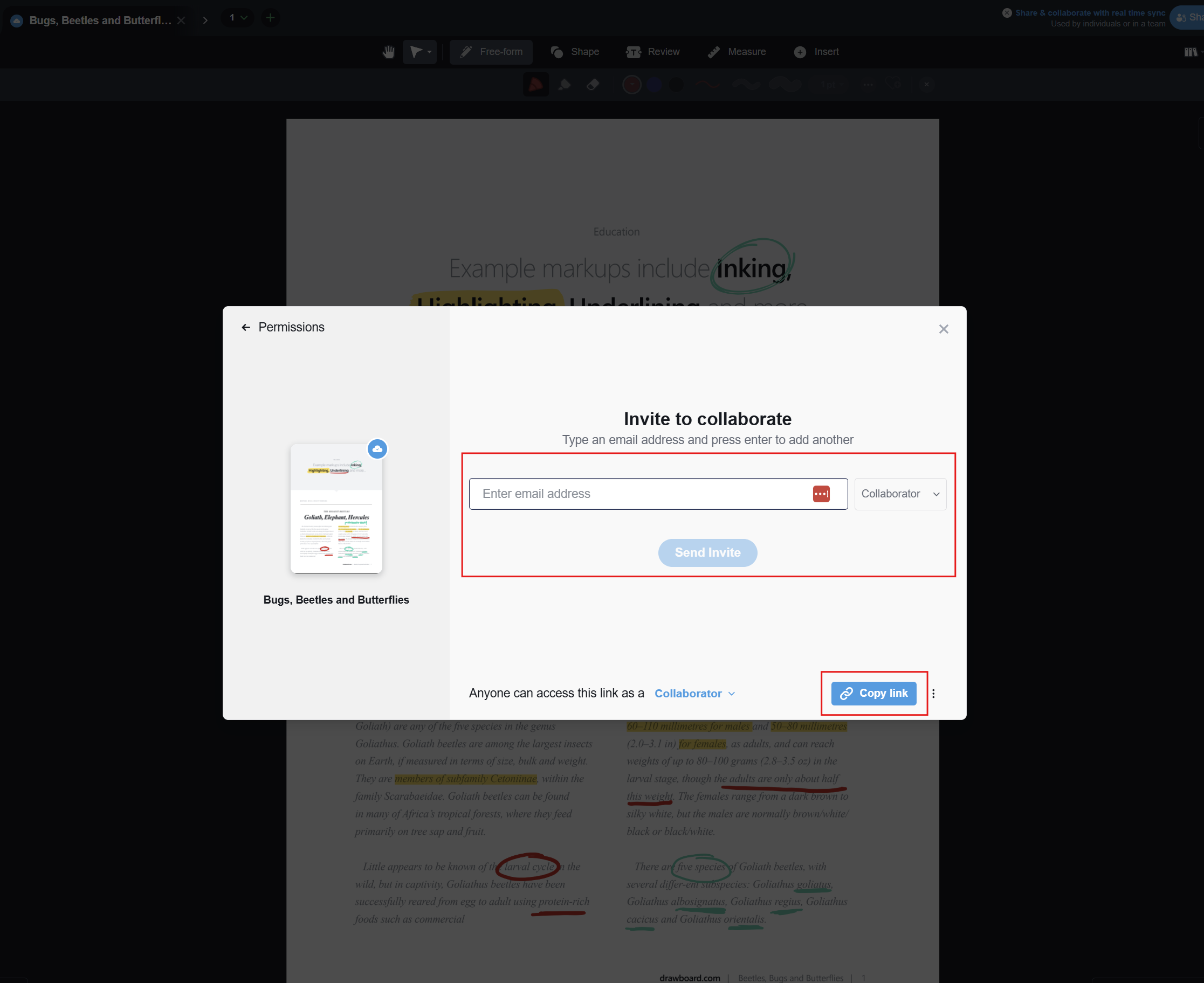 Access any shared cloud document anonymously – Drawboard Help Centre